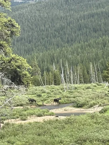 Best Hikes and Trails in Taylor Park | AllTrails