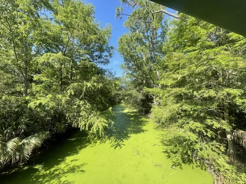 Best Hikes and Trails in Graham Swamp Conservation Area | AllTrails