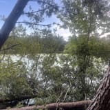 Graham Swamp Trail, Florida - 314 Reviews, Map | AllTrails