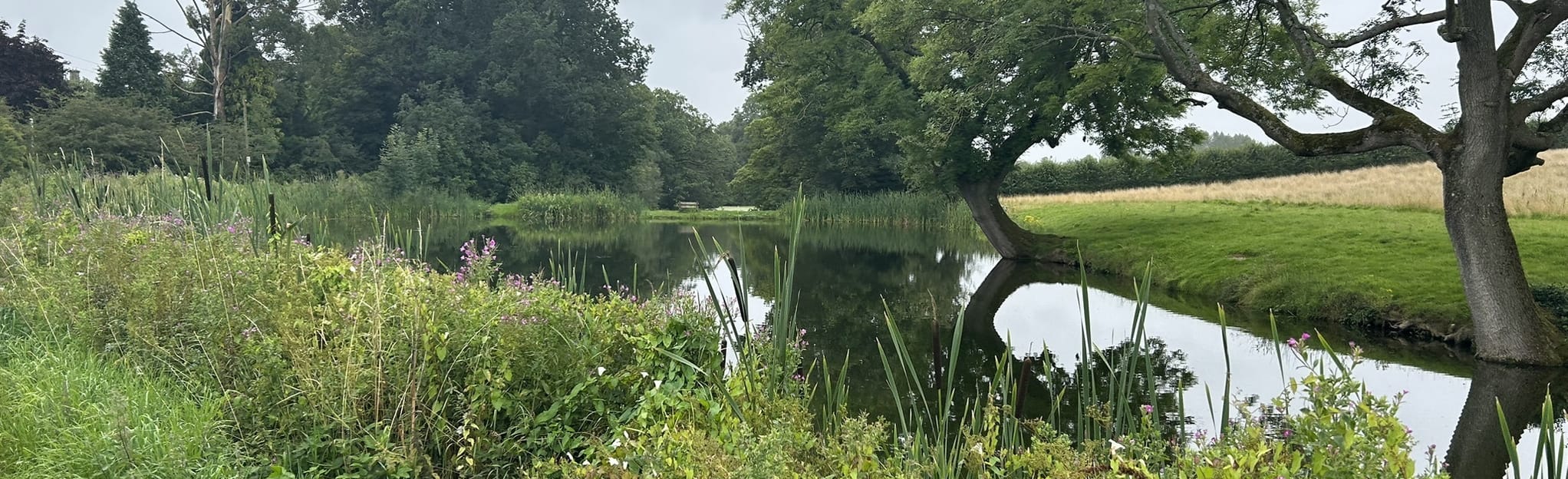 Lickey Hills and Barnt Green Circular: 409 Reviews, Map ...