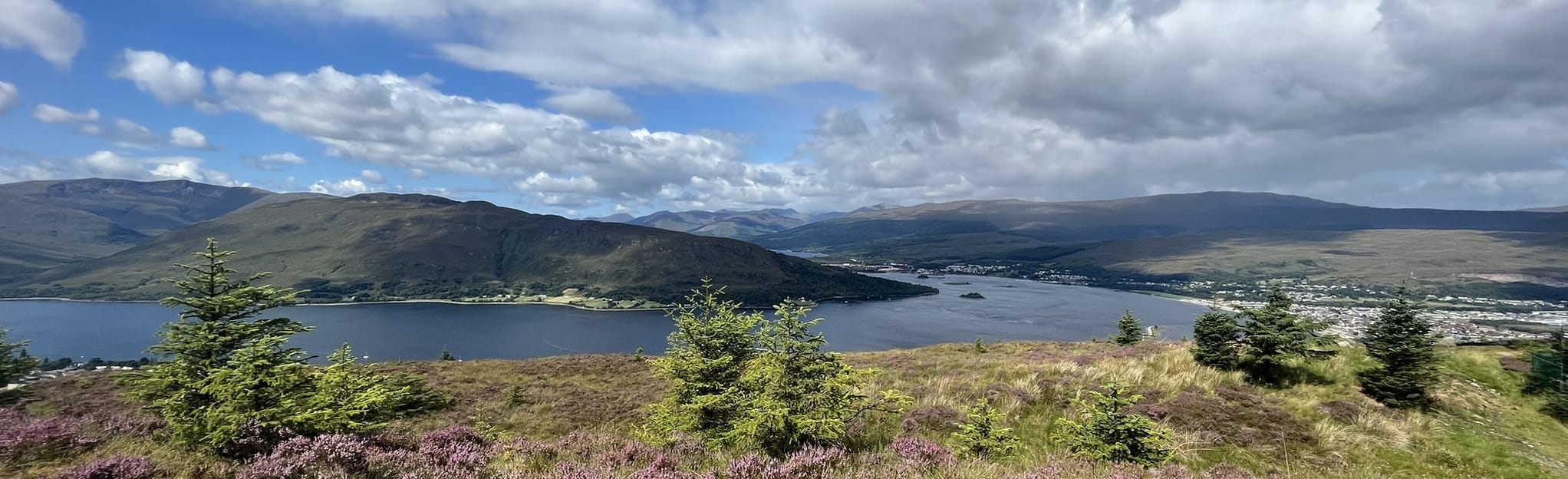 Cow Hill Circular from Braveheart Car Park: 222 Reviews, Map ...