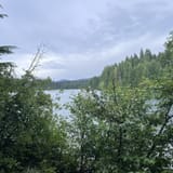 Timothy Lake Loop, Oregon - 274 Reviews, Map | AllTrails