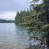 Timothy Lake Loop, Oregon - 274 Reviews, Map | AllTrails