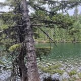 Timothy Lake Loop, Oregon - 274 Reviews, Map | AllTrails