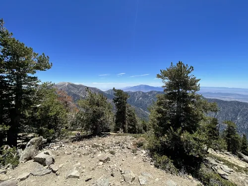 10 Best Trails and Hikes in Forest Falls | AllTrails