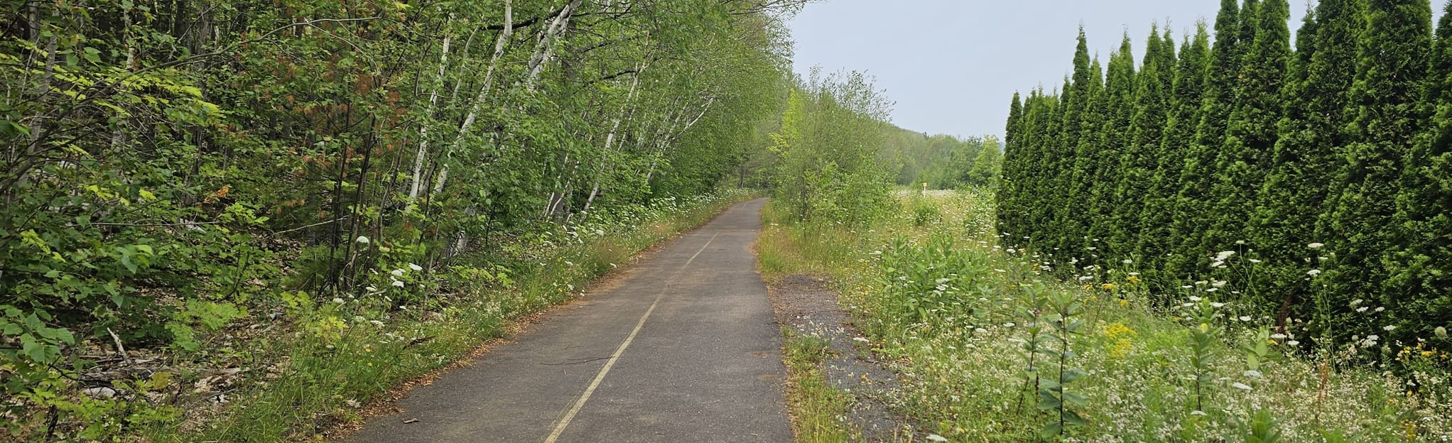 Soo Line Railroad Trail From Houghton, Michigan - 32 Reviews, Map ...