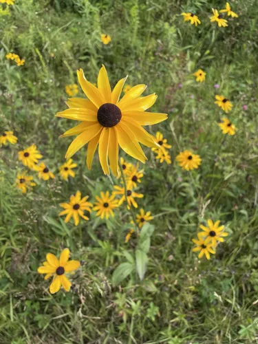 Best Hikes and Trails in Skiff Lake | AllTrails