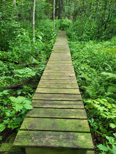 Best Hikes and Trails in Joseph A. Blake Wildlife Sanctuary | AllTrails