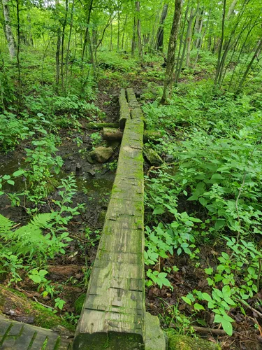 Best Hikes and Trails in Joseph A. Blake Wildlife Sanctuary | AllTrails