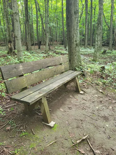 Best Hikes and Trails in Joseph A. Blake Wildlife Sanctuary | AllTrails