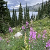 Box Lake Trail, Idaho - 267 Reviews, Map | AllTrails