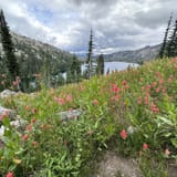Box Lake Trail, Idaho - 267 Reviews, Map | AllTrails