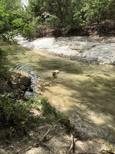 Best Hikes and Trails in Limestone Quarry Park | AllTrails