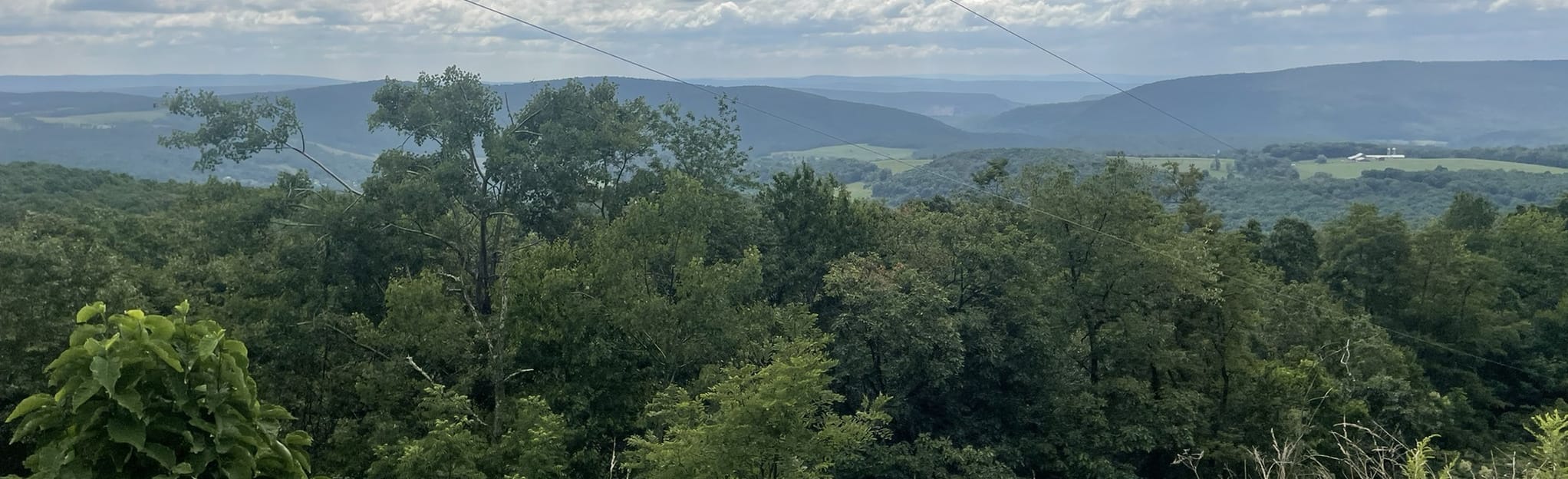 Allegheny Highlands Trail: Deal to Frostburg, Pennsylvania - 111 ...