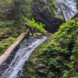 Murhut Falls Trail, Washington - 852 Reviews, Map | AllTrails