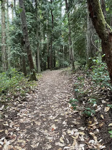Best 10 Hiking Trails in Miller Peninsula State Park | AllTrails