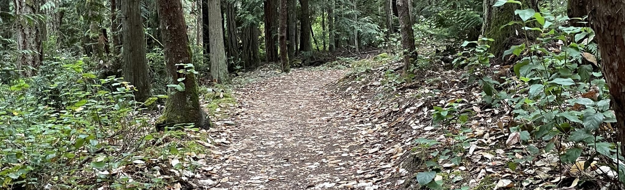 Miller Peninsula Trailhead Loop, Washington - 53 Reviews, Map | AllTrails