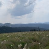 Kicking Horse to Nicomen Lake, British Columbia, Canada - 28 Reviews ...