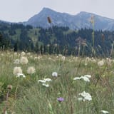 Kicking Horse to Nicomen Lake, British Columbia, Canada - 28 Reviews ...