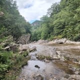 Spence Ridge Trail, North Carolina - 268 Reviews, Map | AllTrails