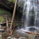Murhut Falls Trail, Washington - 852 Reviews, Map | AllTrails