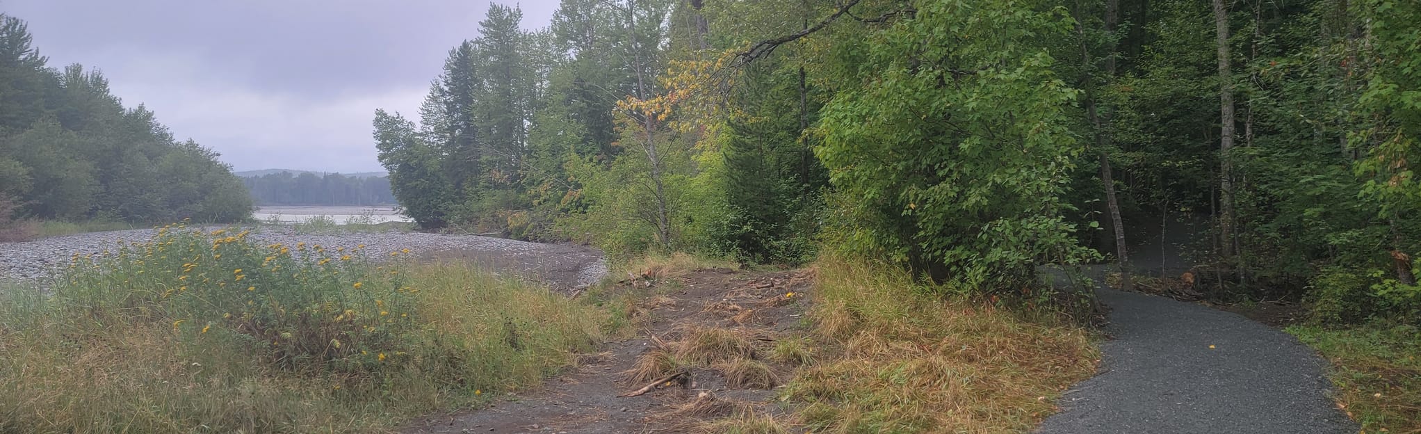 Ferry Island: 195 foto's - Brits-Columbia, Canada | Wandelen - AllTrails