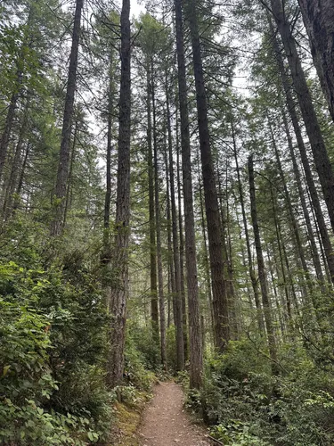 2023 Best Long Trails in Bremerton | AllTrails