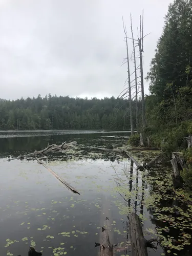 Best Hikes and Trails in Klein Lake Recreation Site | AllTrails