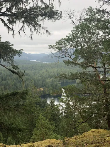 Best Hikes and Trails in Klein Lake Recreation Site | AllTrails