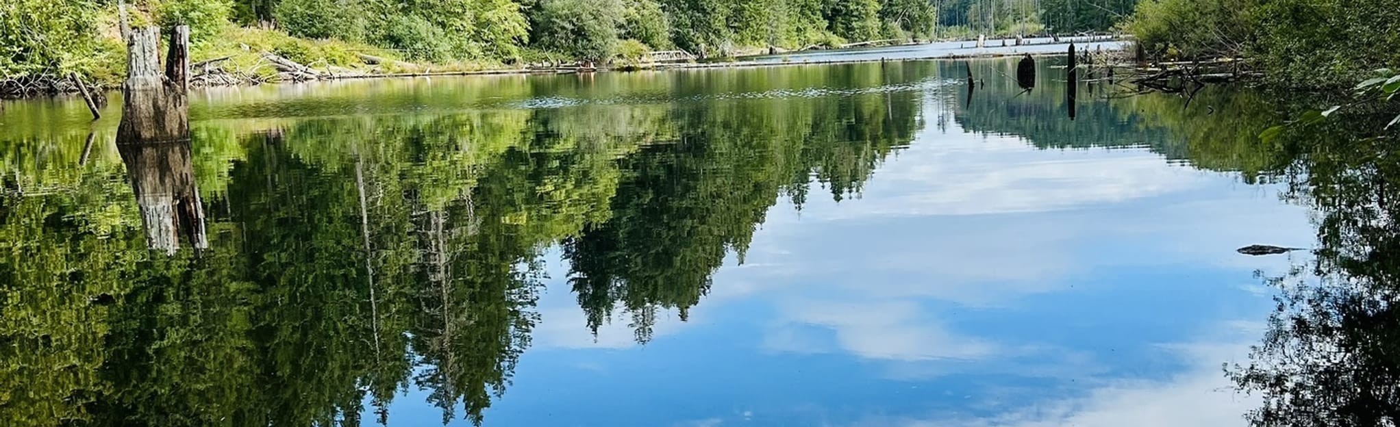 Oliphant Lake via Spectacle Lake Trail: 104 Reviews, Map - British ...