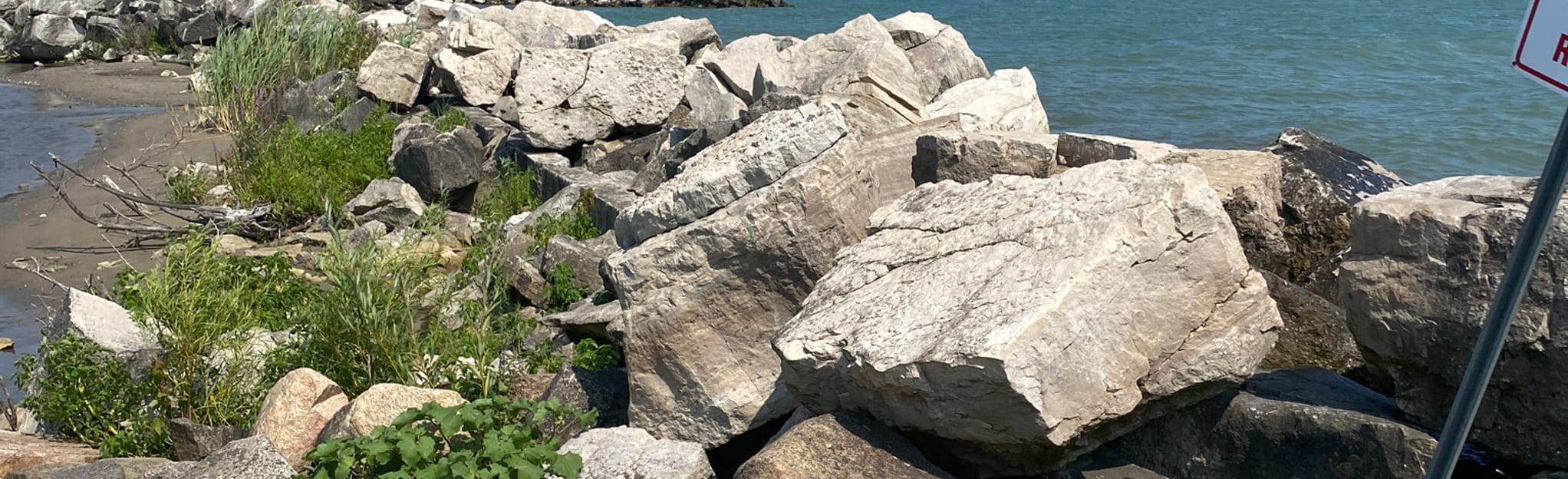 Colchester Harbour Loop: 15 foto's - Ontario, Canada | Wandelen - AllTrails