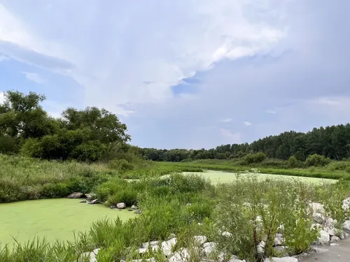 Best River Trails in Columbus Junction | AllTrails