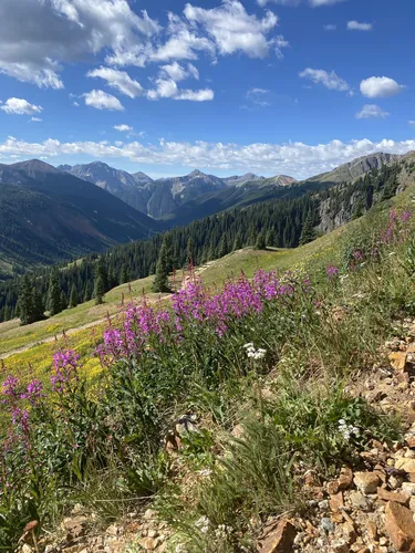10 Best Off Road Driving Trails in Silverton | AllTrails