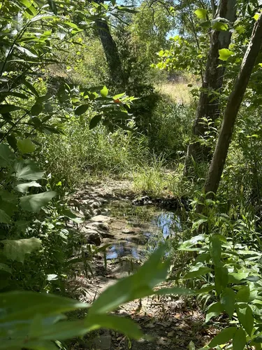Best Hikes and Trails in Cedar Breaks Park | AllTrails
