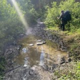 Resurrection Pass Trail, Alaska - 250 Reviews, Map | AllTrails