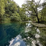 Blue Spring Trail, Missouri - 194 Reviews, Map | AllTrails