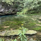 Blue Spring Trail, Missouri - 194 Reviews, Map | AllTrails