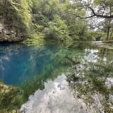 Blue Spring Trail, Missouri - 194 Reviews, Map | AllTrails