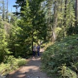 Hidden Lake Trail, Washington - 611 Reviews, Map | AllTrails