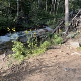 North Fork Big Thompson River Trail Via Dunraven Trailhead, Colorado ...