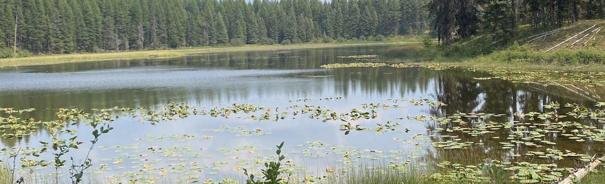 Frater Lake Trail, Washington - 56 Reviews, Map | AllTrails