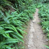 Threemile Lake Trail, Oregon - 134 Reviews, Map | AllTrails