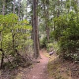 Threemile Lake Trail, Oregon - 134 Reviews, Map | AllTrails