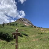 Engineer Mountain Trail, Colorado - 346 Reviews, Map | AllTrails