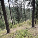 Headwaters Trail, Idaho - 629 Reviews, Map | AllTrails