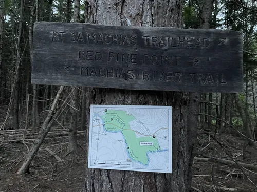 Best Hikes and Trails in Machias | AllTrails