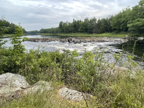 Best Hikes and Trails in Machias | AllTrails