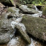 Pinnacle Mountain Fire Tower Trail, Tennessee - 874 Reviews, Map ...