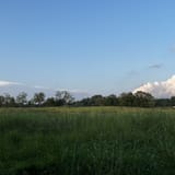 Anchorage Trail, Kentucky - 748 Reviews, Map | AllTrails