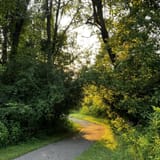 Anchorage Trail, Kentucky - 748 Reviews, Map | AllTrails